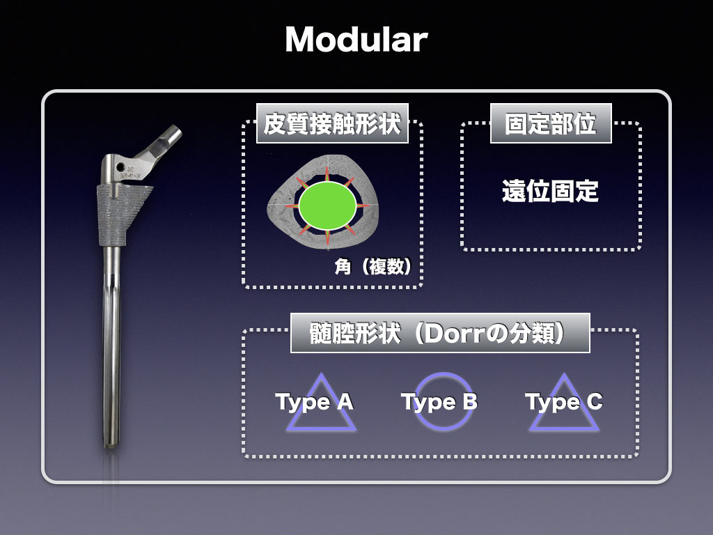 ステムの基礎知識8 （Cementless Stemの種類3） │ 整形外科のいろいろ